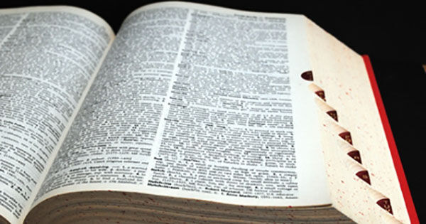 This dictionary spells out its blatant support for the letters L, G, B ...
