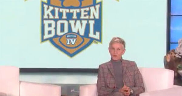 Ellen kicks off Kitten Bowl IV, the big game for the rest of us - LGBTQ ...