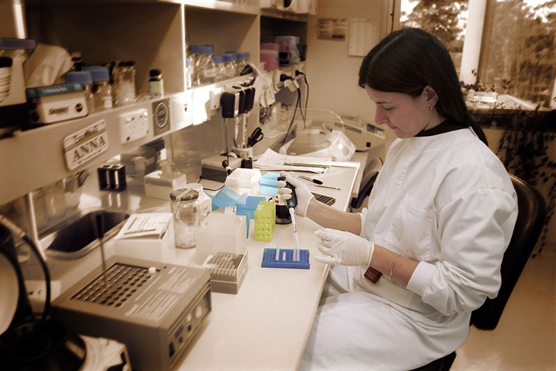Scientists discover DNA that could be responsible for gender identity ...