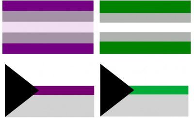 What do all the versions of the Pride flag mean? - LGBTQ Nation