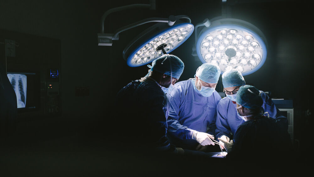 Surgeons successfully performed a testicle transplant. The procedure ...