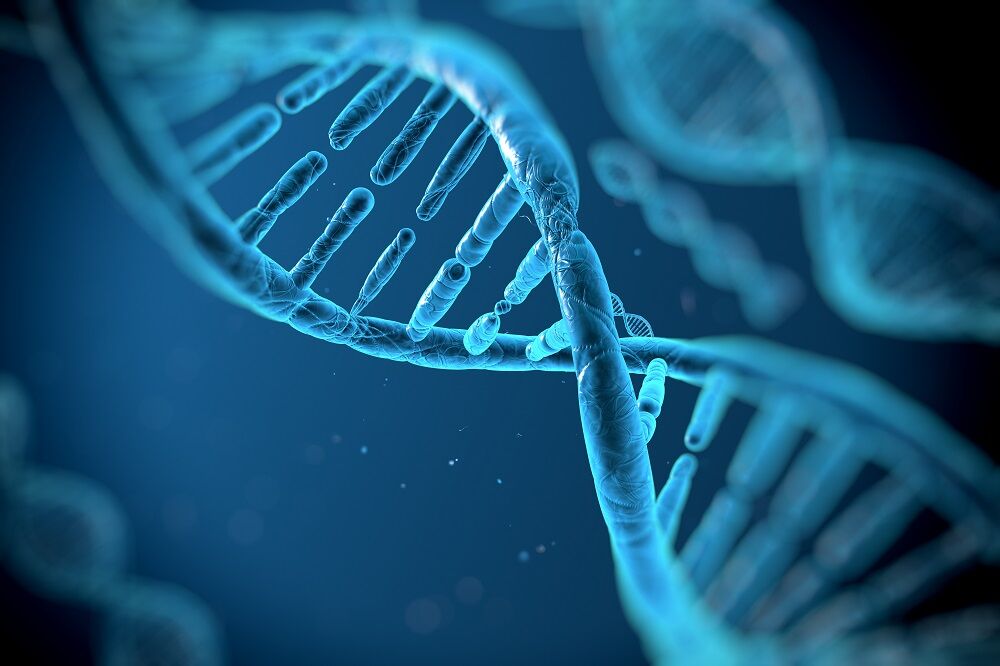 Trans people may have "rare" gene variants related to brain sex ...