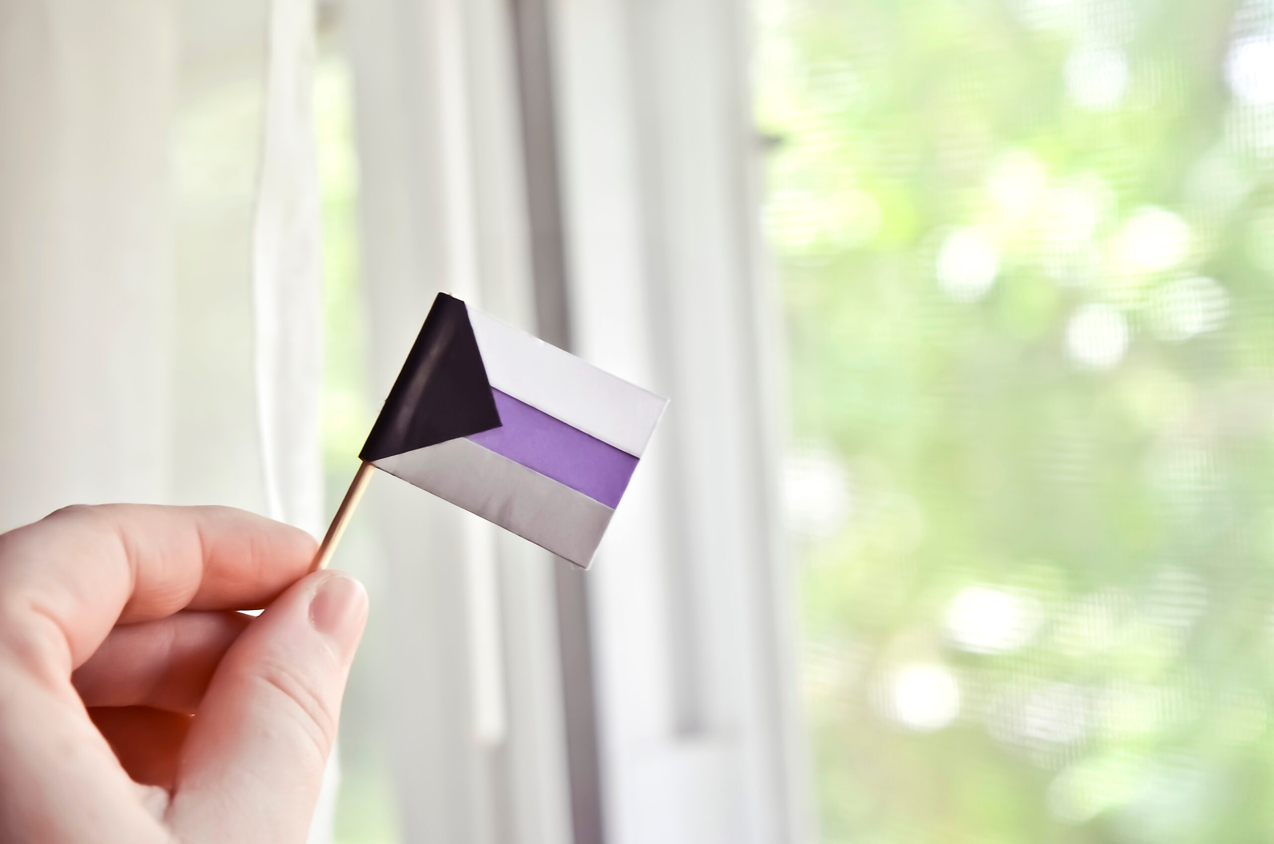 All about the demisexual flag - LGBTQ Nation