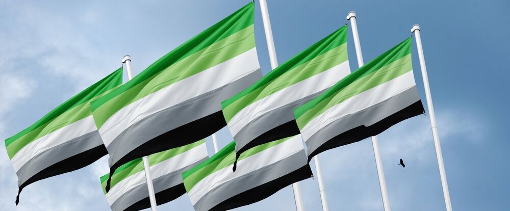 All About The Aromantic Flag: Different Meanings & Versions - LGBTQ Nation