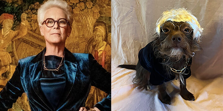 Rescue dogs salute Oscar-winner Jamie Lee Curtis in adorable pics ...
