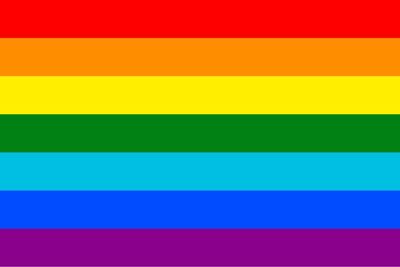 Emblems of equality: Discovering the world of LGBTQ+ flags - LGBTQ Nation