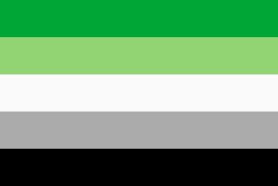 Emblems of equality: Discovering the world of LGBTQ+ Pride flags ...