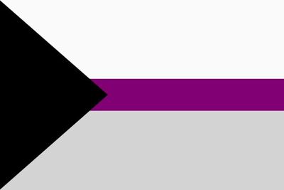 Emblems of equality: Discovering the world of LGBTQ+ Pride flags ...