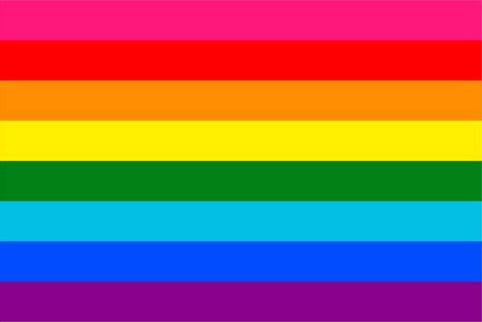 Emblems of equality: Discovering the world of LGBTQ+ Pride flags ...