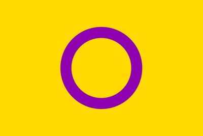 Emblems of equality: Discovering the world of LGBTQ+ Pride flags ...