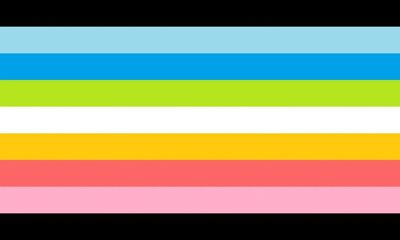 Emblems of equality: Discovering the world of LGBTQ+ Pride flags ...