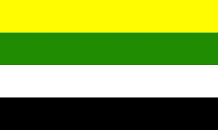 Emblems of equality: Discovering the world of LGBTQ+ Pride flags ...