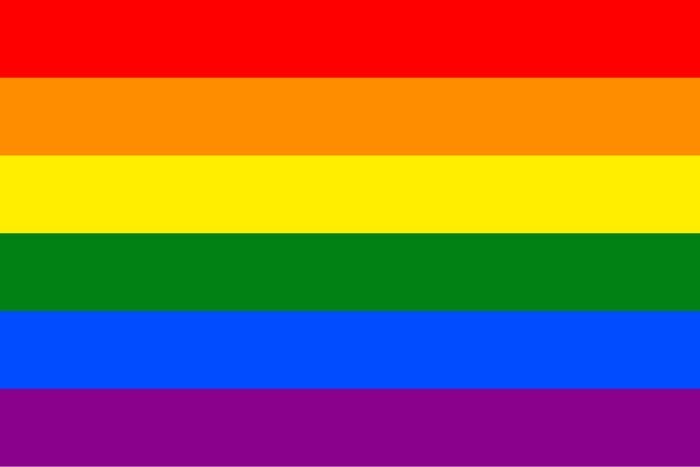 Emblems of equality: Discovering the world of LGBTQ+ Pride flags ...