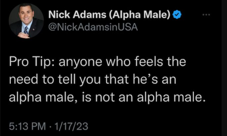 Donald Trump names absurd Hooters-loving "alpha male" supporter as ...